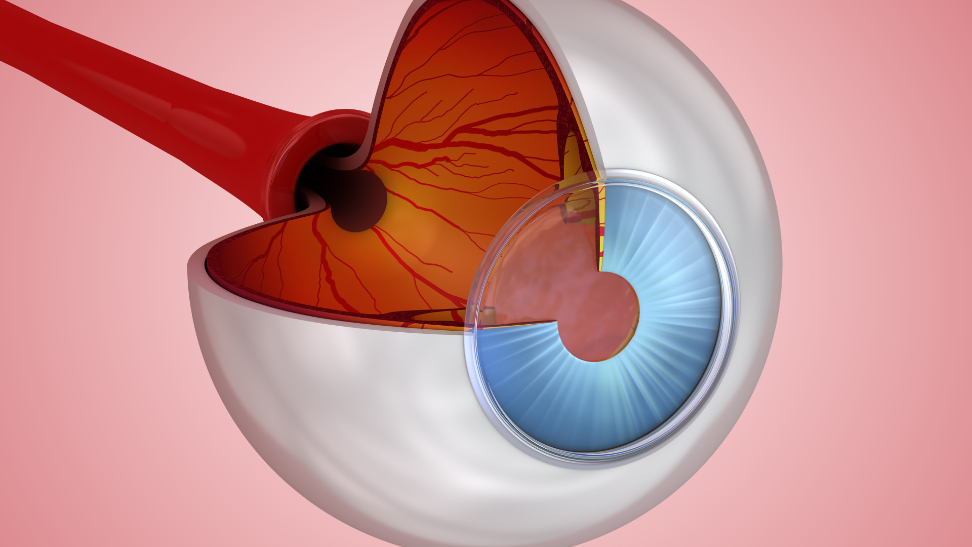 Glaucoma: sintomi, cause, cura e prevenzione - OmegaPharma